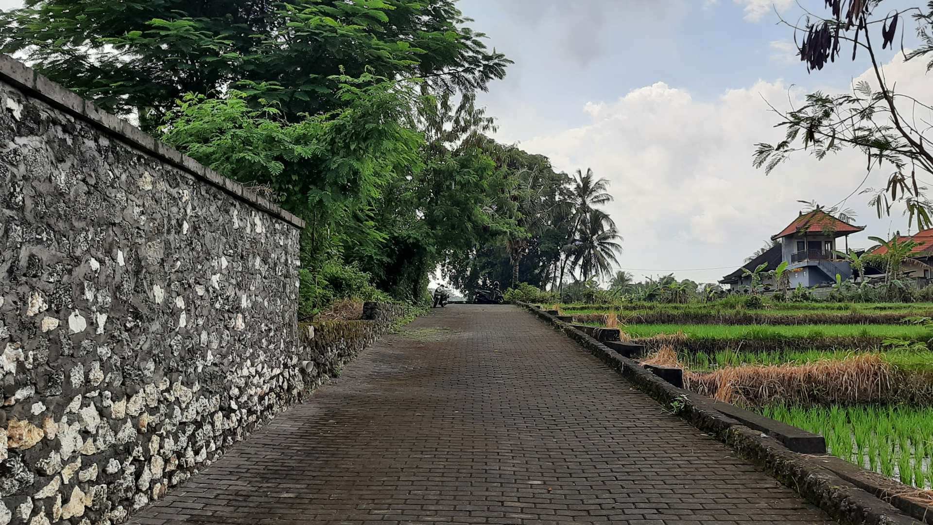 Nyambu: lifestyle, property, infrastructure & attractions | Bali.RealEstate